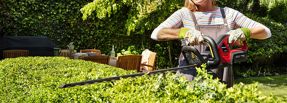 Honda | DC Handheld Range