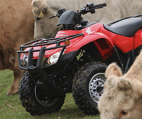Honda | TRX250TM