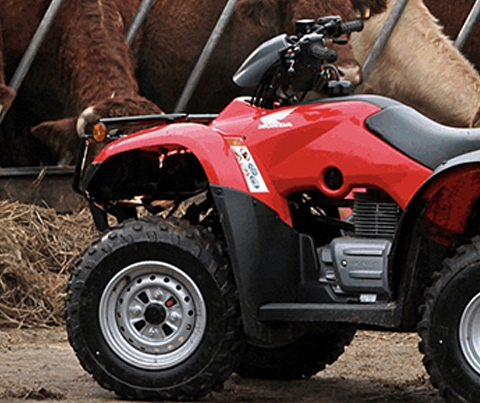 Honda | TRX250TM